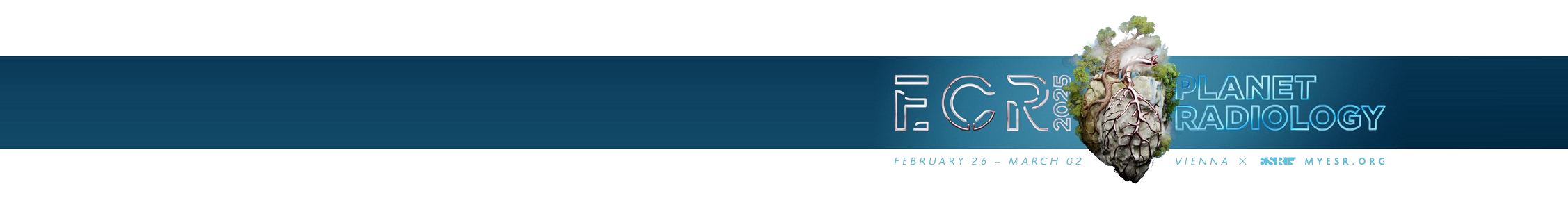 SyntheticMR @ ECR2025